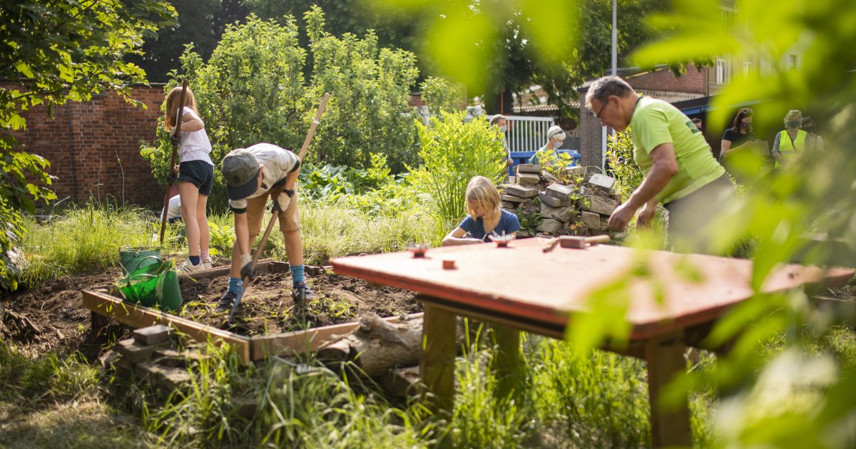 Kalk in de moestuin | Velt